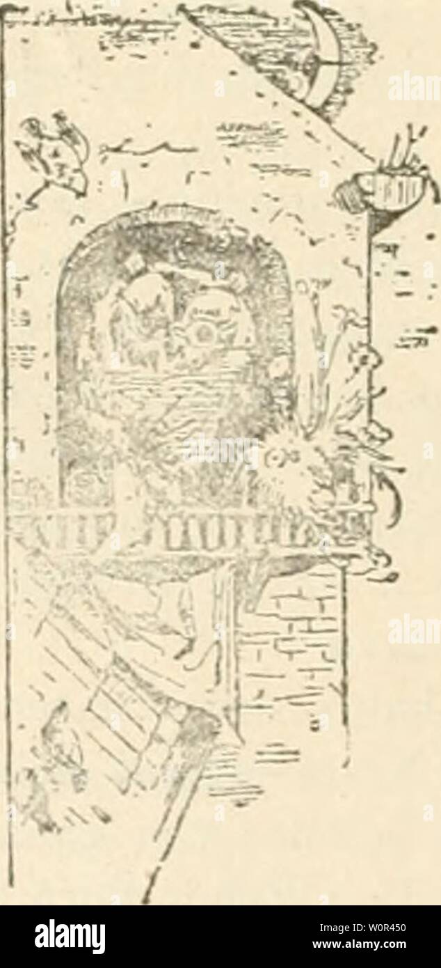 Archive image from page 233 of Der Ornithologische Beobachter (1902 ...