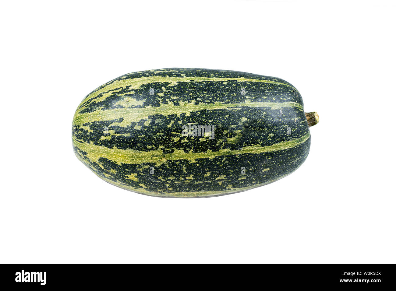 A single green striped spaghetti pumpkin isolated on white background ...