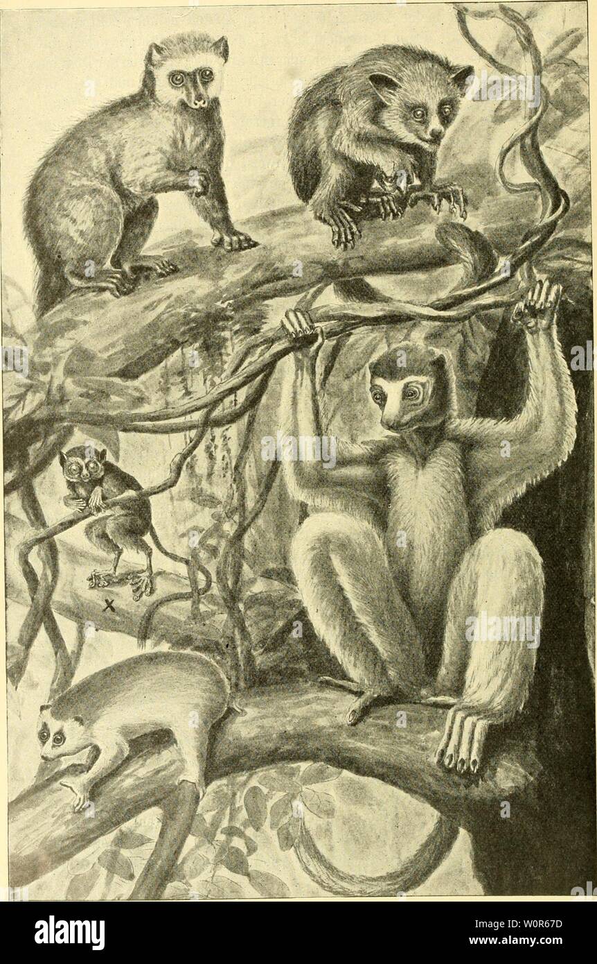 269 sein hi-res stock photography and images - Alamy