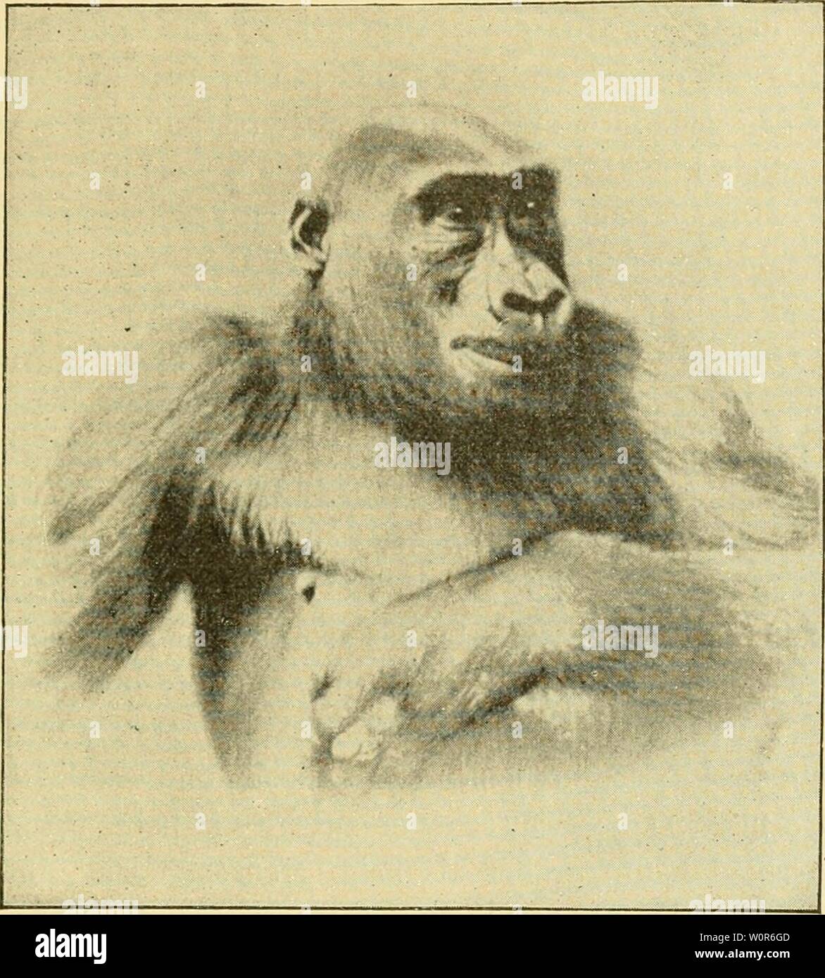 Entwicklungsrichtung hi-res stock photography and images - Alamy