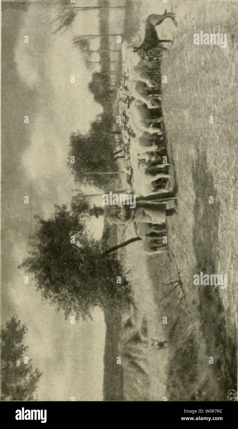 Ja eins hi-res stock photography and images - Alamy