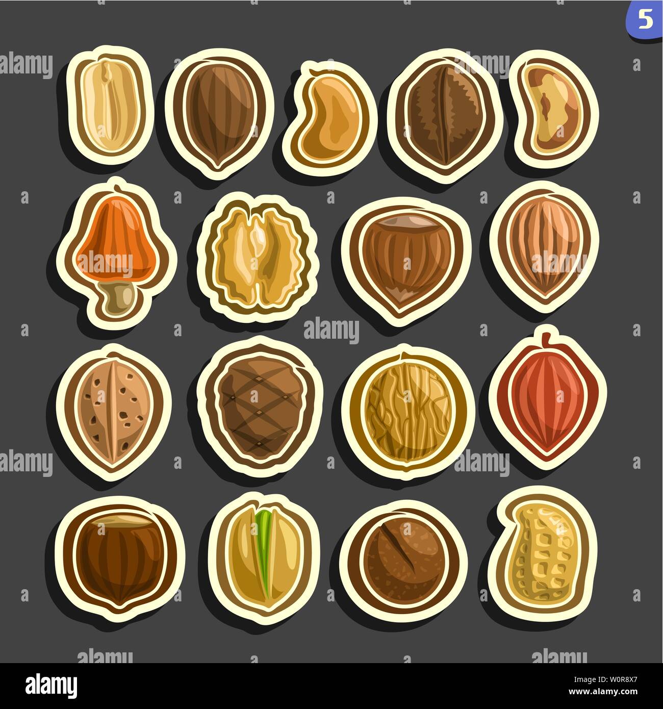 Vector Set of Nuts icons Stock Vector Image & Art - Alamy