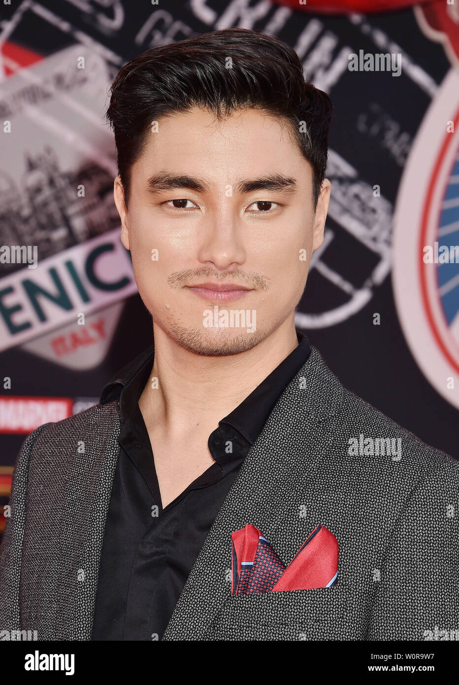 HOLLYWOOD, CA - JUNE 26: Remy Hiiattends attends the premiere of Sony ...