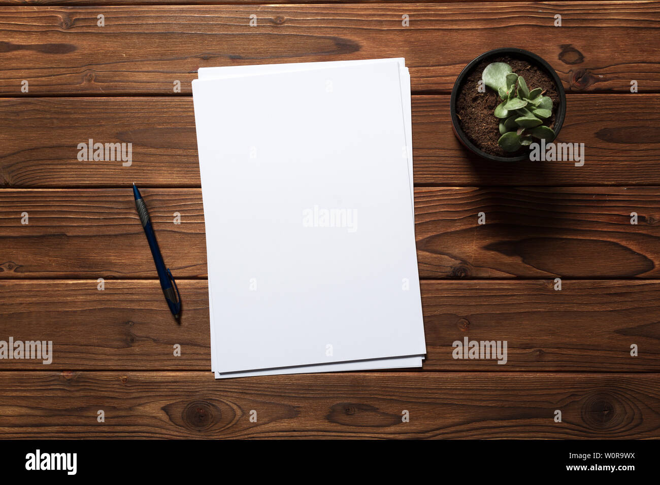 White business card on wooden table. Blank portrait A4 Stock Photo - Alamy