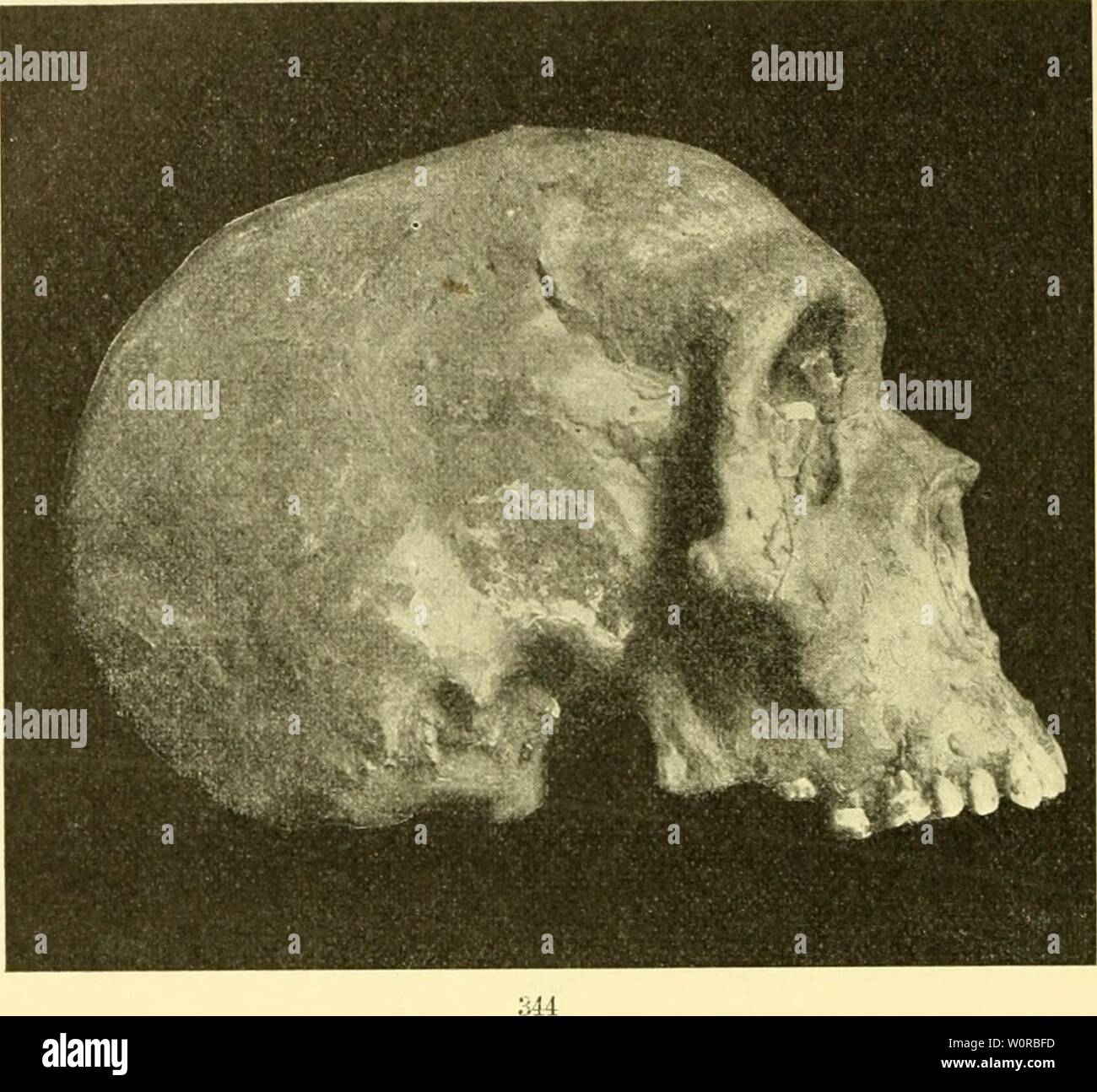 Leche wilhelm 1850 1927 hi-res stock photography and images - Alamy