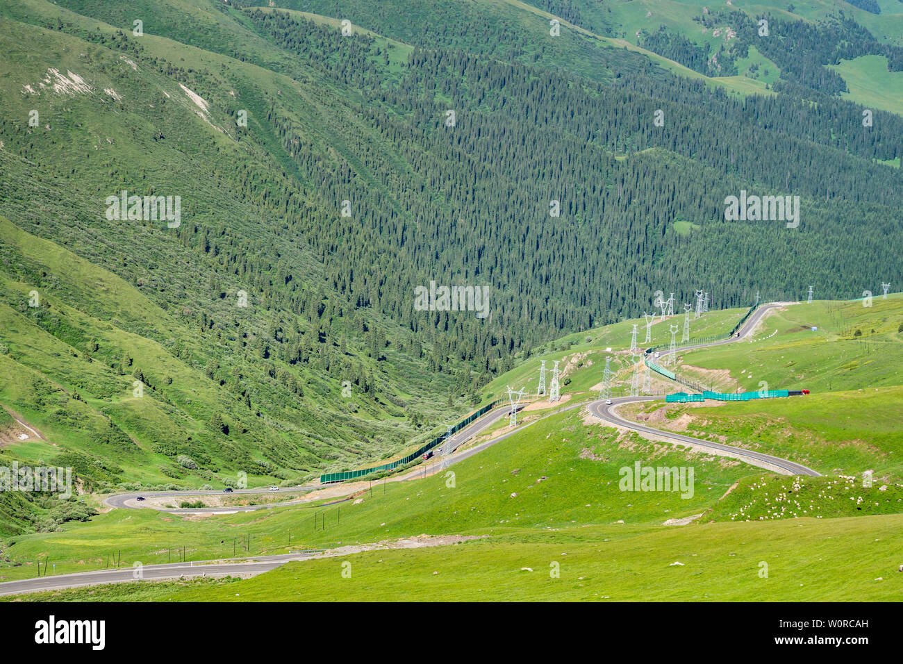 Alpine grasslands along the G217 Duku Highway under the summer blue sky ...