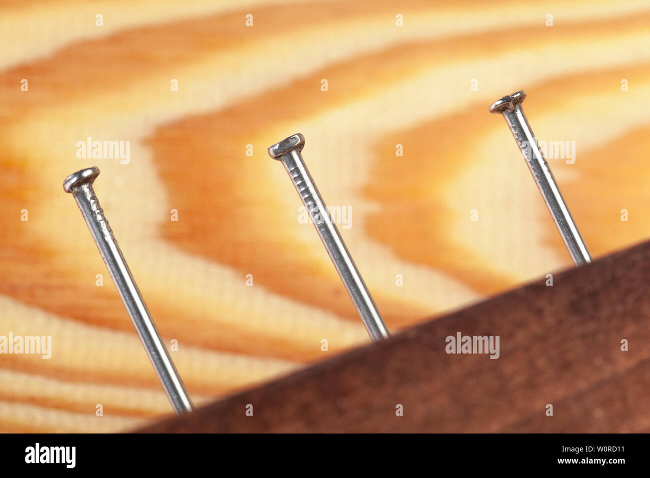 Hammered nails into a tree Stock Photo - Alamy