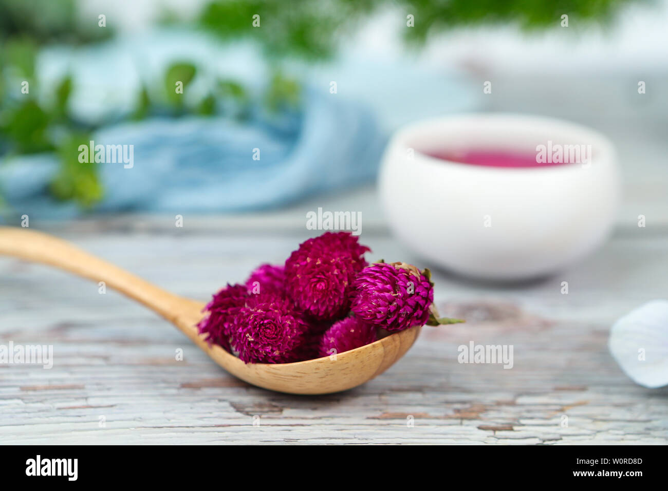 Thousand-day red flower tea Stock Photo - Alamy