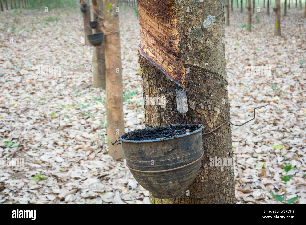 Rubber tyre production hi-res stock photography and images - Alamy