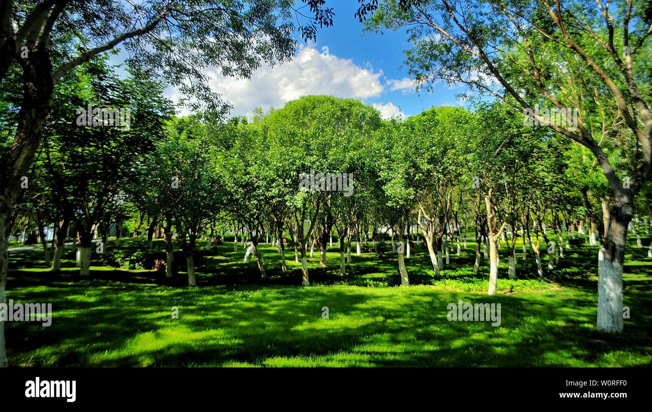 Landscape of the Karamay Stock Photo - Alamy