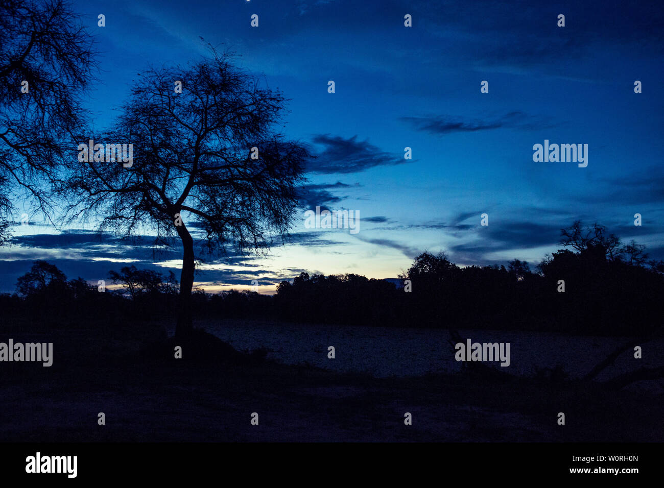 Africa, Zimbabwe, animals, nature pristine, Zambezi river, panorama ...