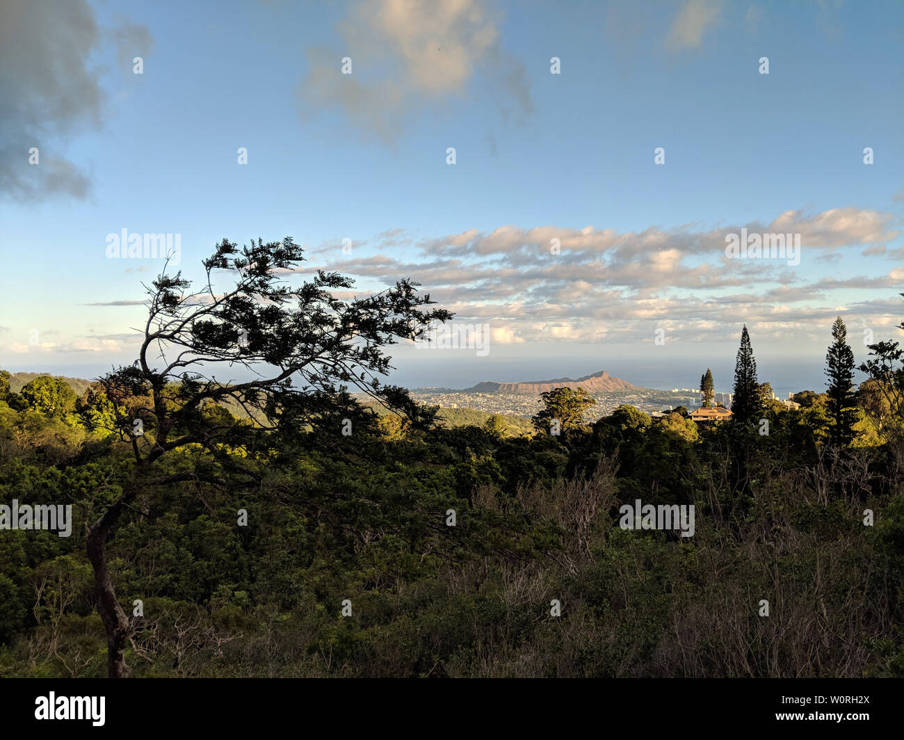 Kaimuki park hi-res stock photography and images - Alamy