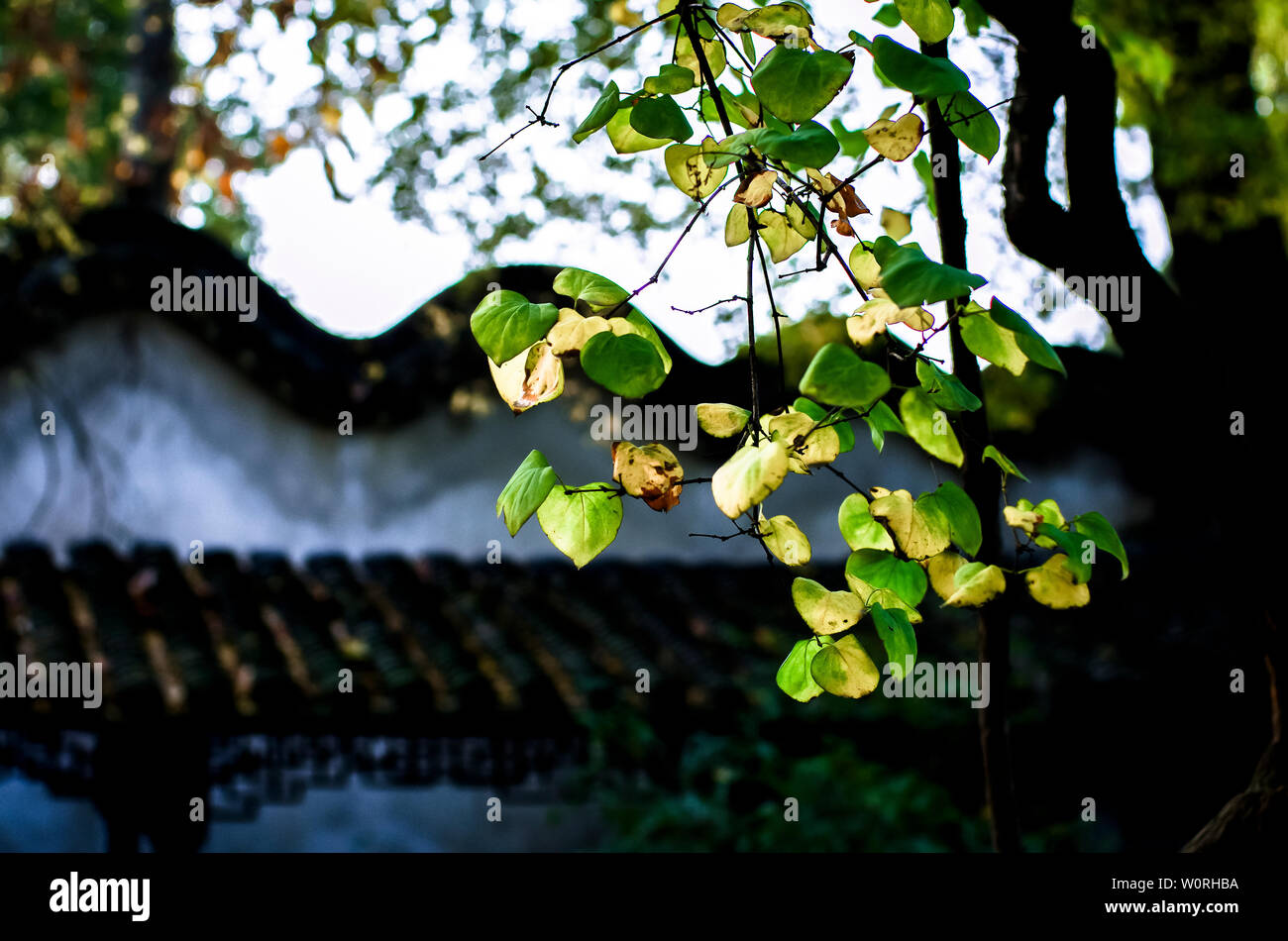 Autumn Color in Suzhou Garden Stock Photo - Alamy