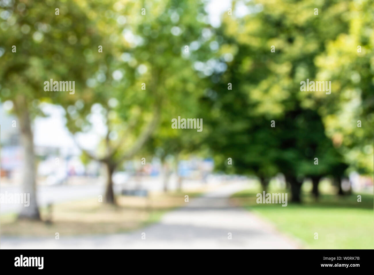Blurred image of park outdoors walking path pedestrian background ...