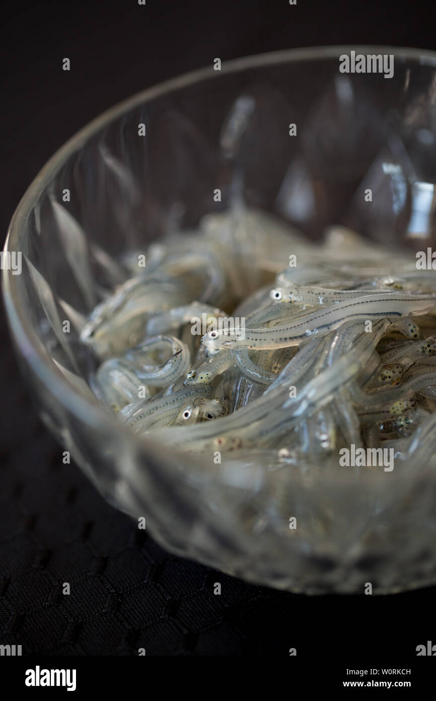 New zealand whitebait hi-res stock photography and images - Alamy