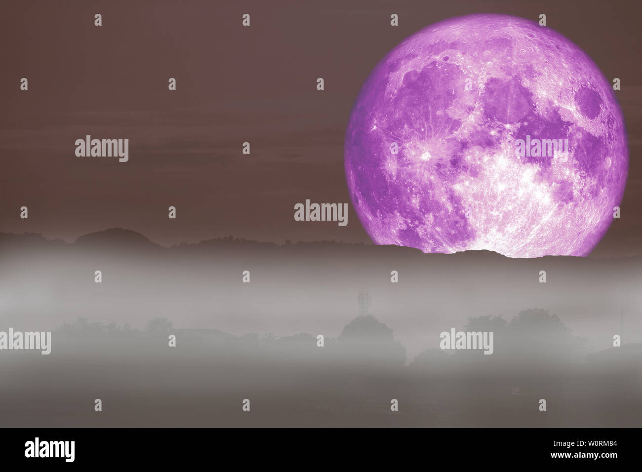 full purple fish moon back on cloud and fog on mountain night sky ...