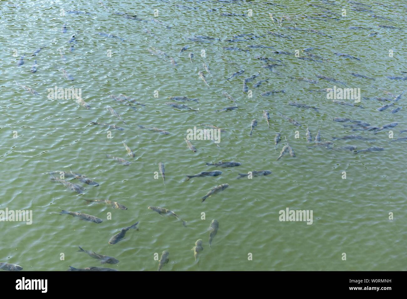 Dam mural painting hi-res stock photography and images - Alamy