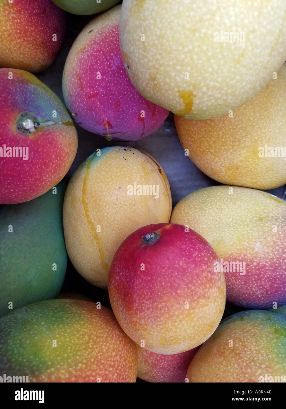 Pile of Sun-kissed Hayden Mango's in box Honolulu Stock Photo - Alamy