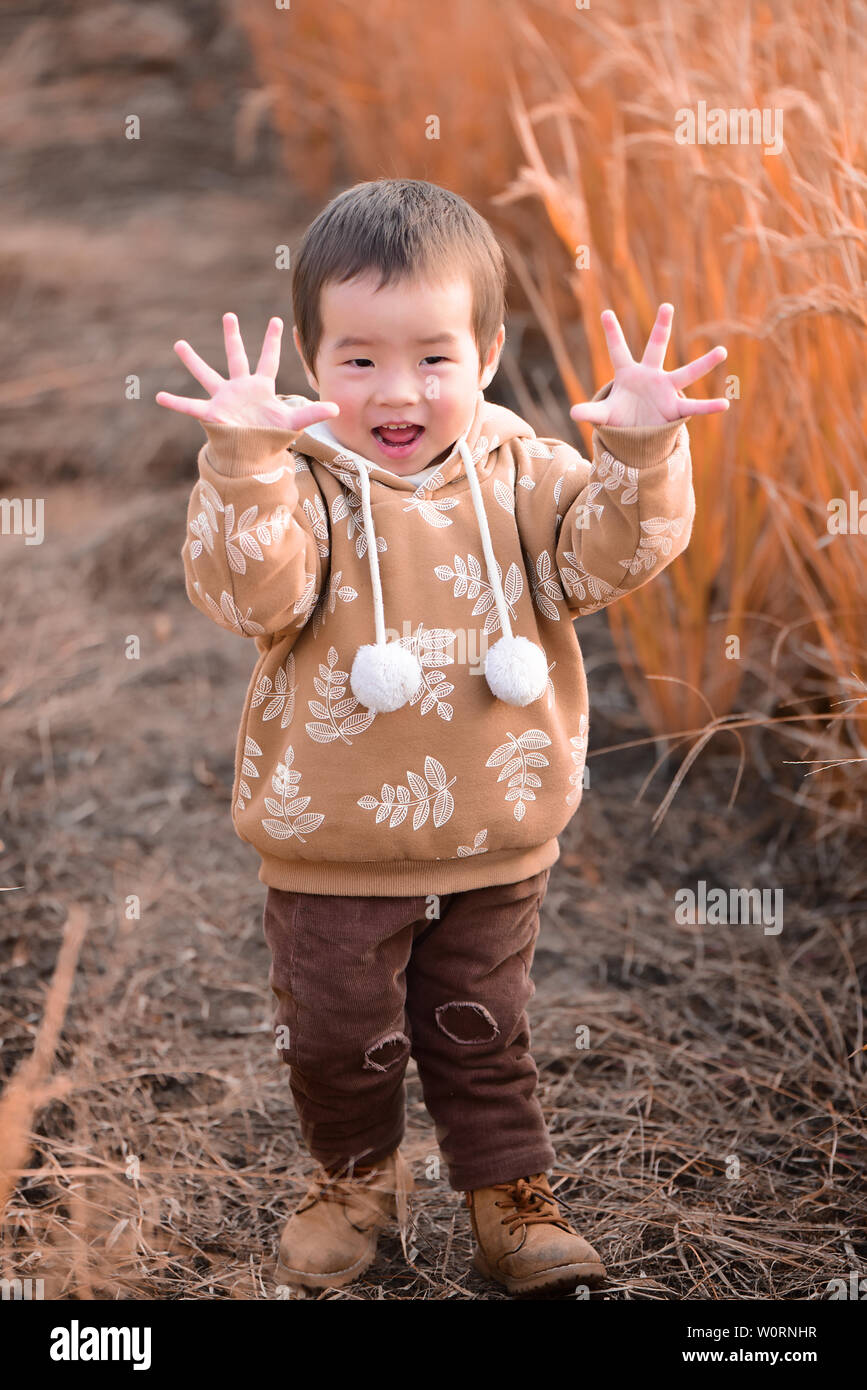 Happy little boy in the rice field Stock Photo - Alamy