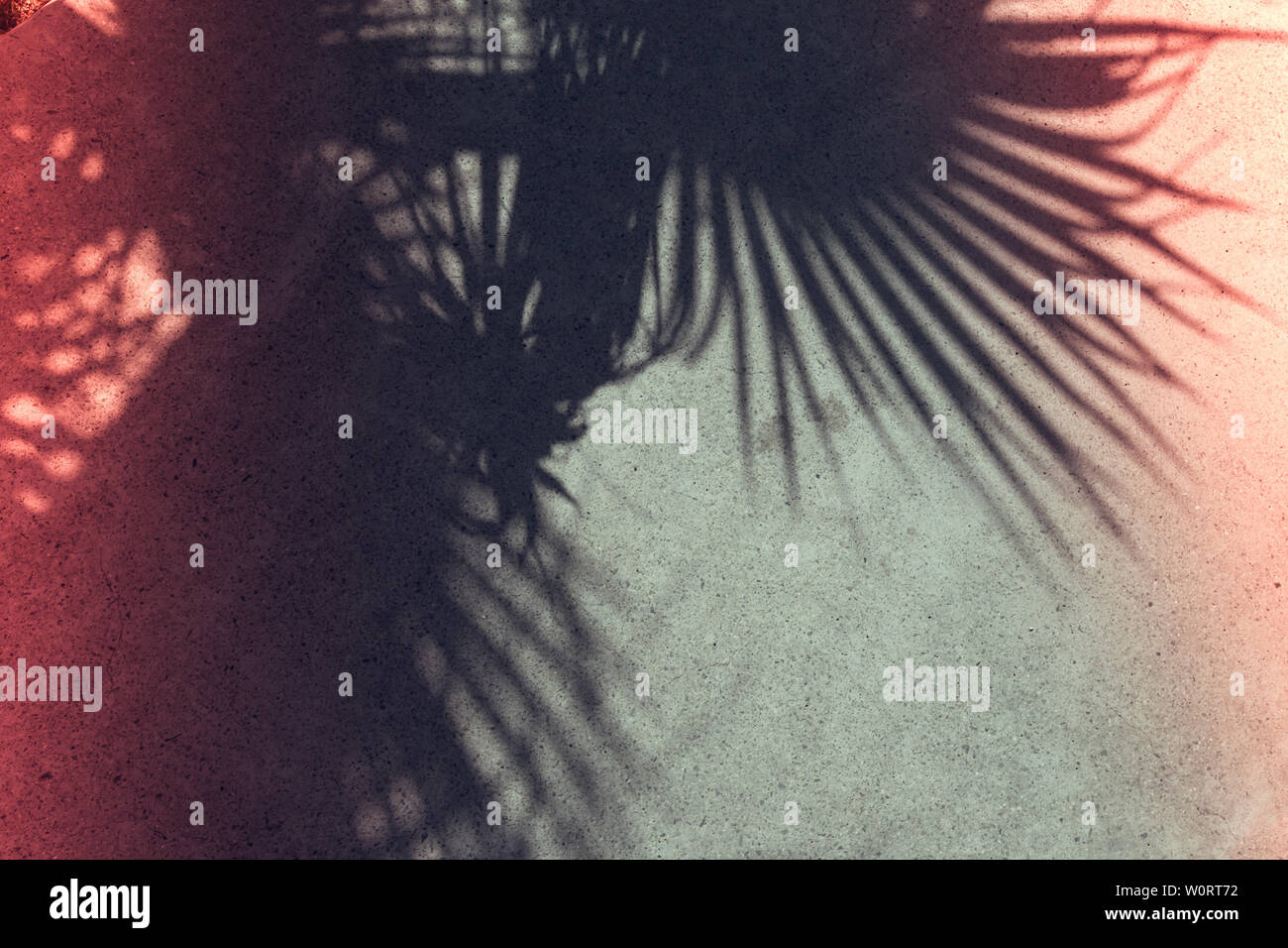 Palm leaf shadows Stock Photo - Alamy