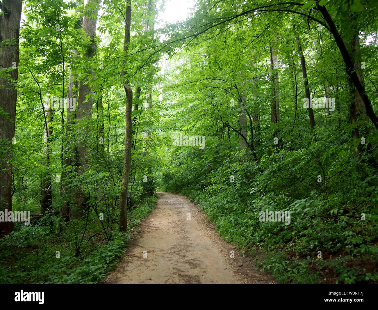 Rock creek park washington dc hi-res stock photography and images - Alamy