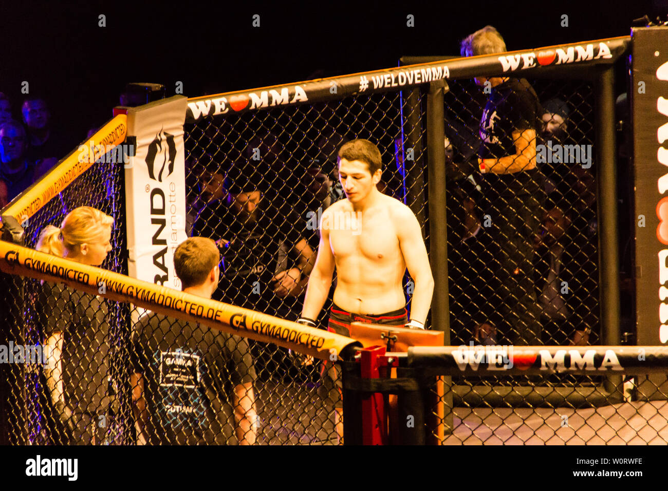 Hamburg, Germany - Nov 18th, 2017: The fight between Said-Magomed ...