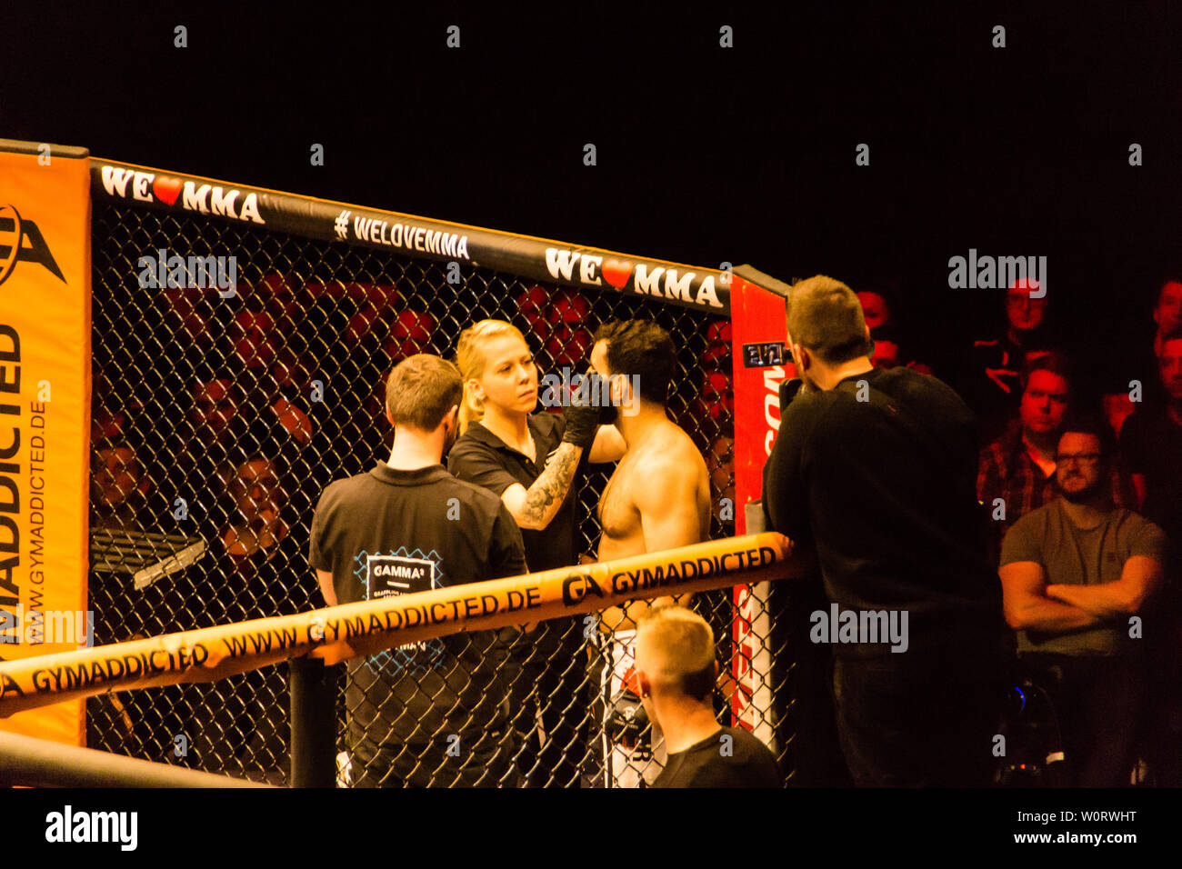 Hamburg, Germany - Nov 18th, 2017: The fight between Ali Ramadan and ...