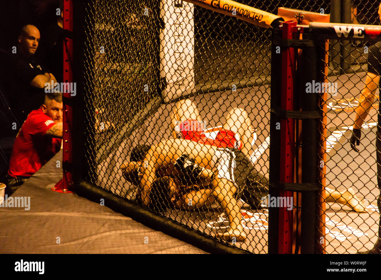 Hamburg, Germany - Nov 18th, 2017: The fight between Ali Ramadan and ...