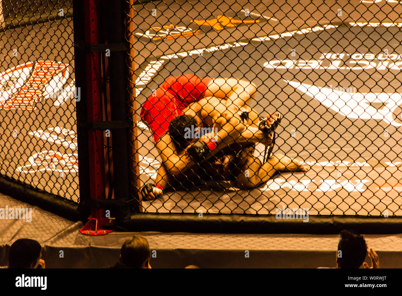 Hamburg, Germany - Nov 18th, 2017: The fight between Ali Ramadan and ...