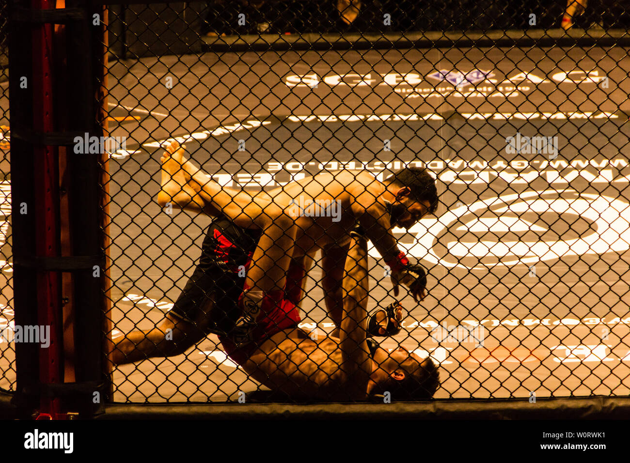 Hamburg, Germany - Nov 18th, 2017: The fight between Ali Ramadan and ...