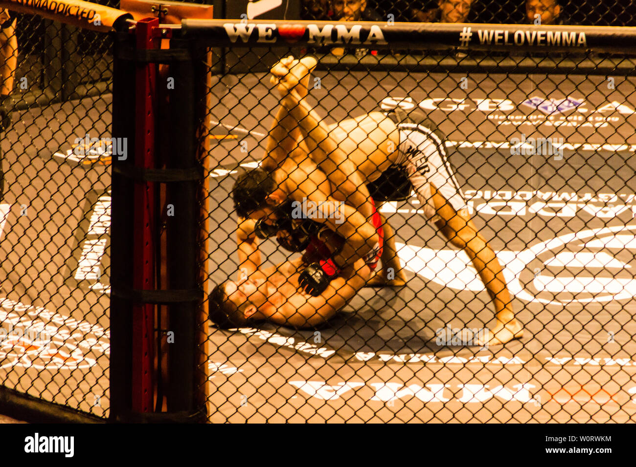 Hamburg, Germany - Nov 18th, 2017: The fight between Ali Ramadan and ...
