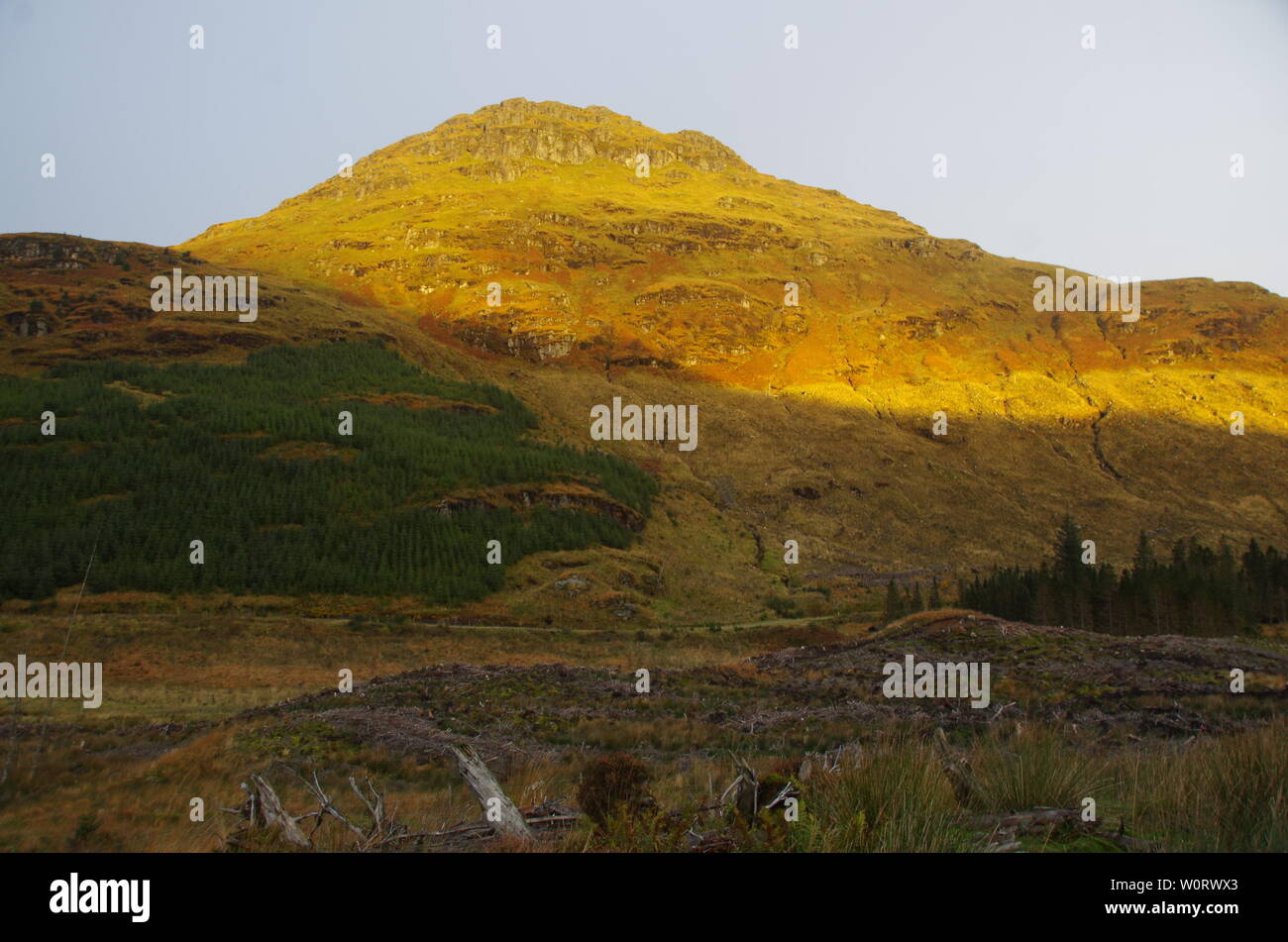 The Loch Lomond and Cowal Way. Cowal peninsula. Highlands. Scotland. UK ...