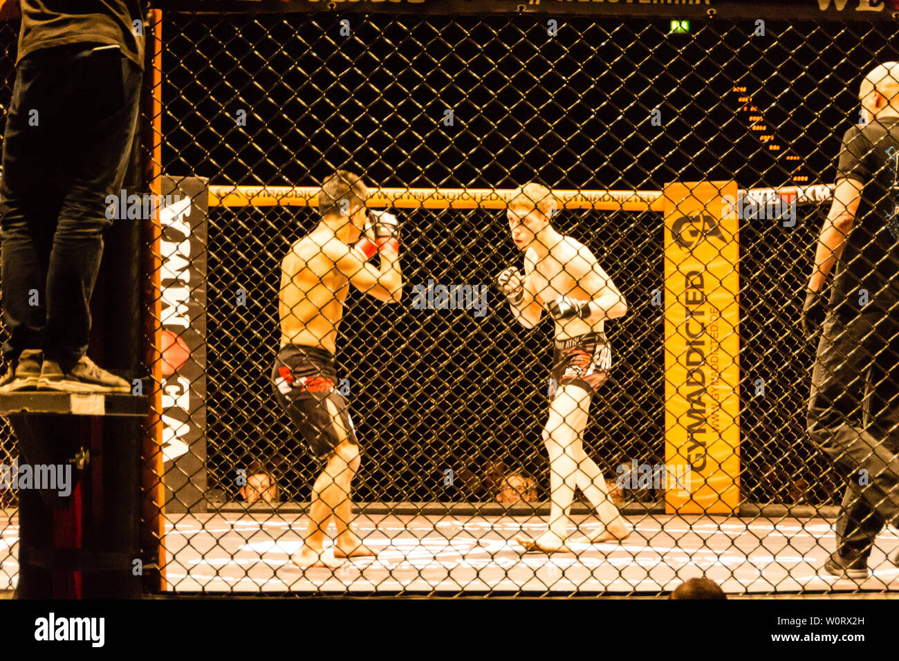 Hamburg, Germany - Nov 18th, 2017: The fight between Alexander Luster ...