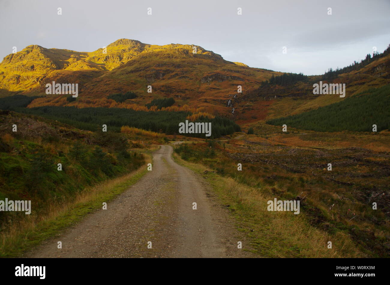 The Loch Lomond and Cowal Way. Cowal peninsula. Highlands. Scotland. UK ...
