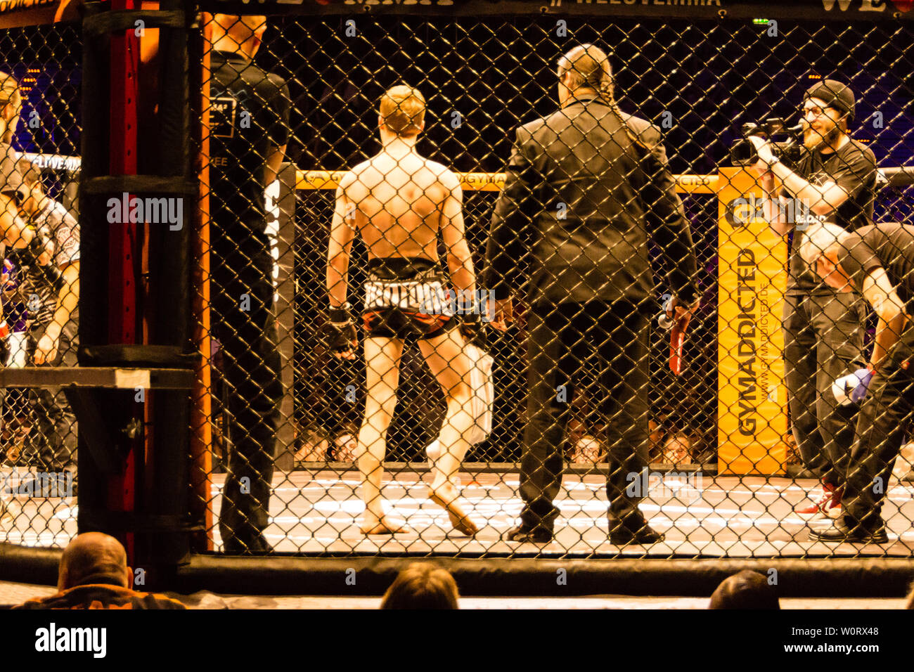 Hamburg, Germany - Nov 18th, 2017: The fight between Alexander Luster ...