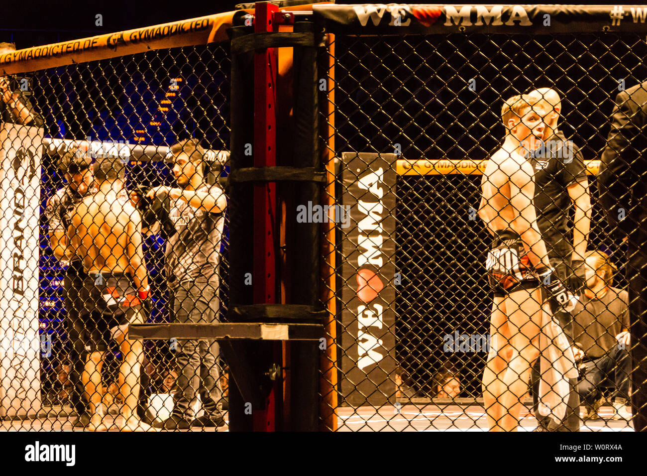 Hamburg, Germany - Nov 18th, 2017: The fight between Alexander Luster ...