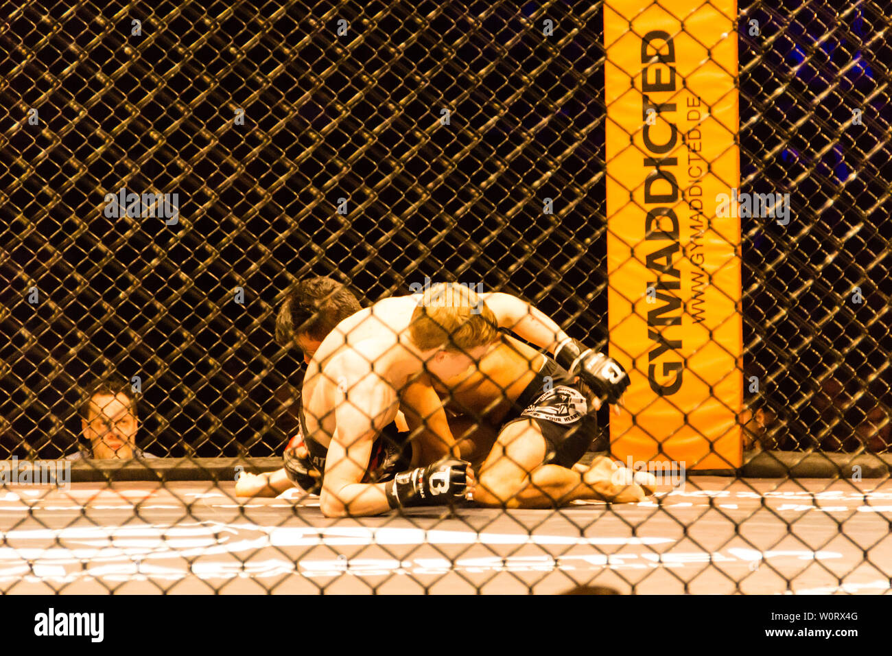 Arena pantera hi-res stock photography and images - Alamy
