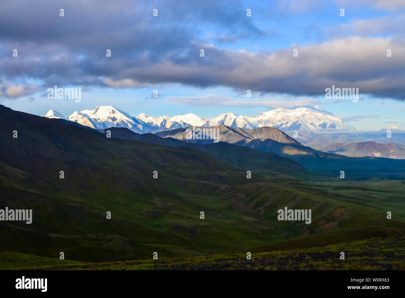Morning view of Mount Denali (mt Mckinley) peak during golden hour from ...