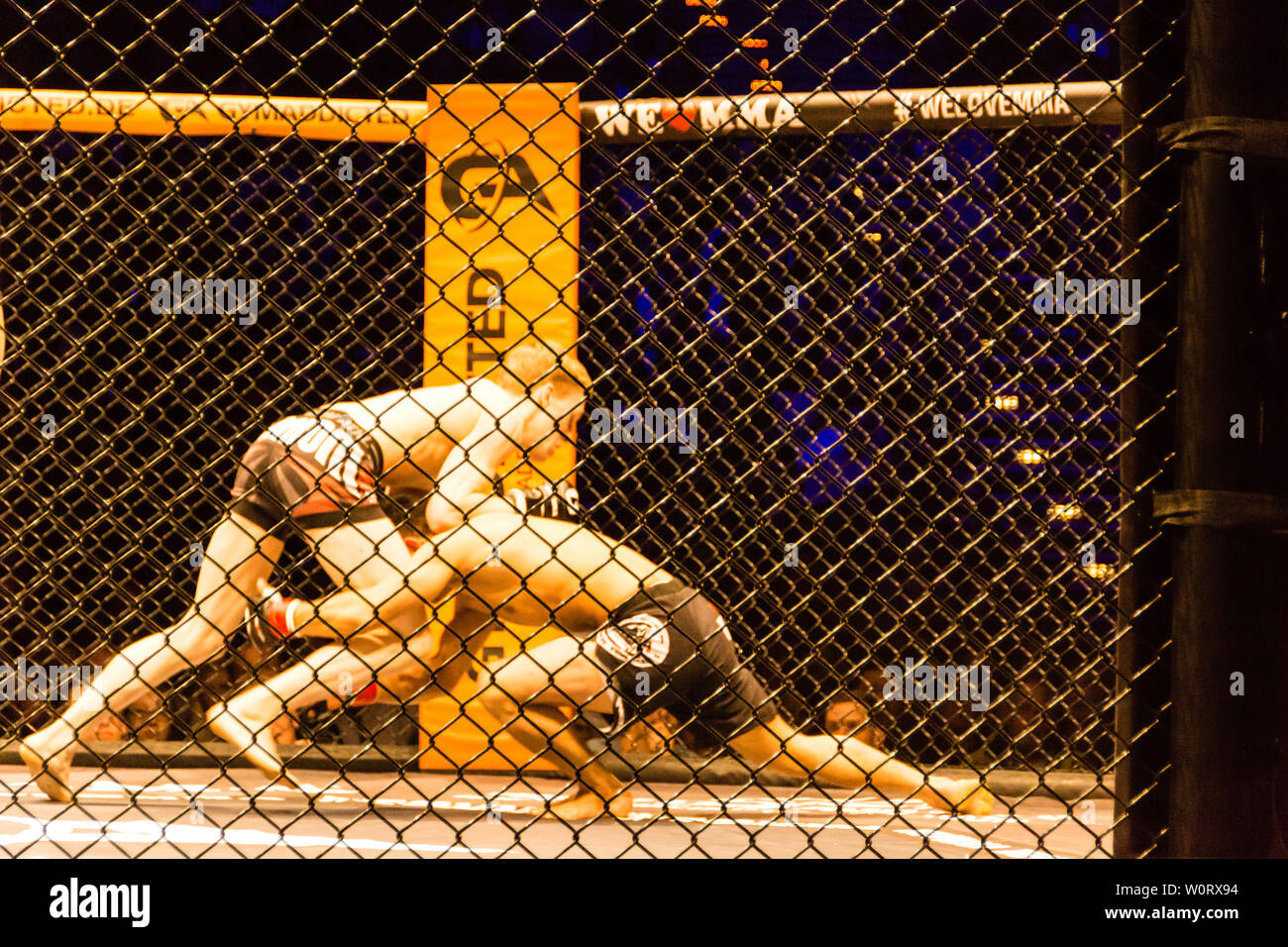 Hamburg, Germany - Nov 18th, 2017: The fight between Alexander Luster ...