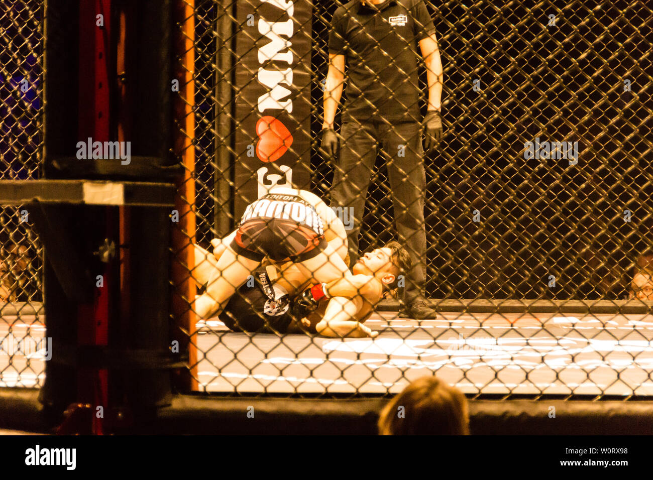 Hamburg, Germany - Nov 18th, 2017: The fight between Alexander Luster ...