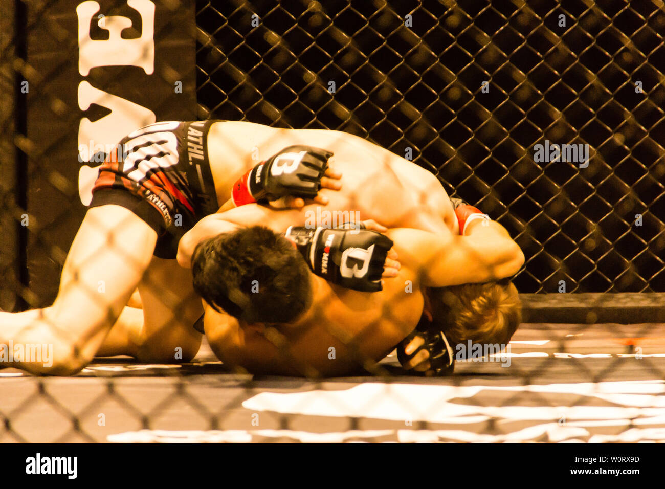 Hamburg, Germany - Nov 18th, 2017: The fight between Alexander Luster ...