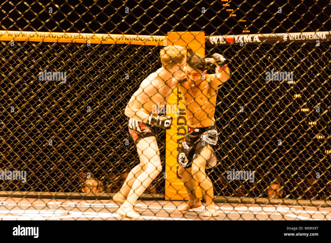 Beez neez hi-res stock photography and images - Alamy