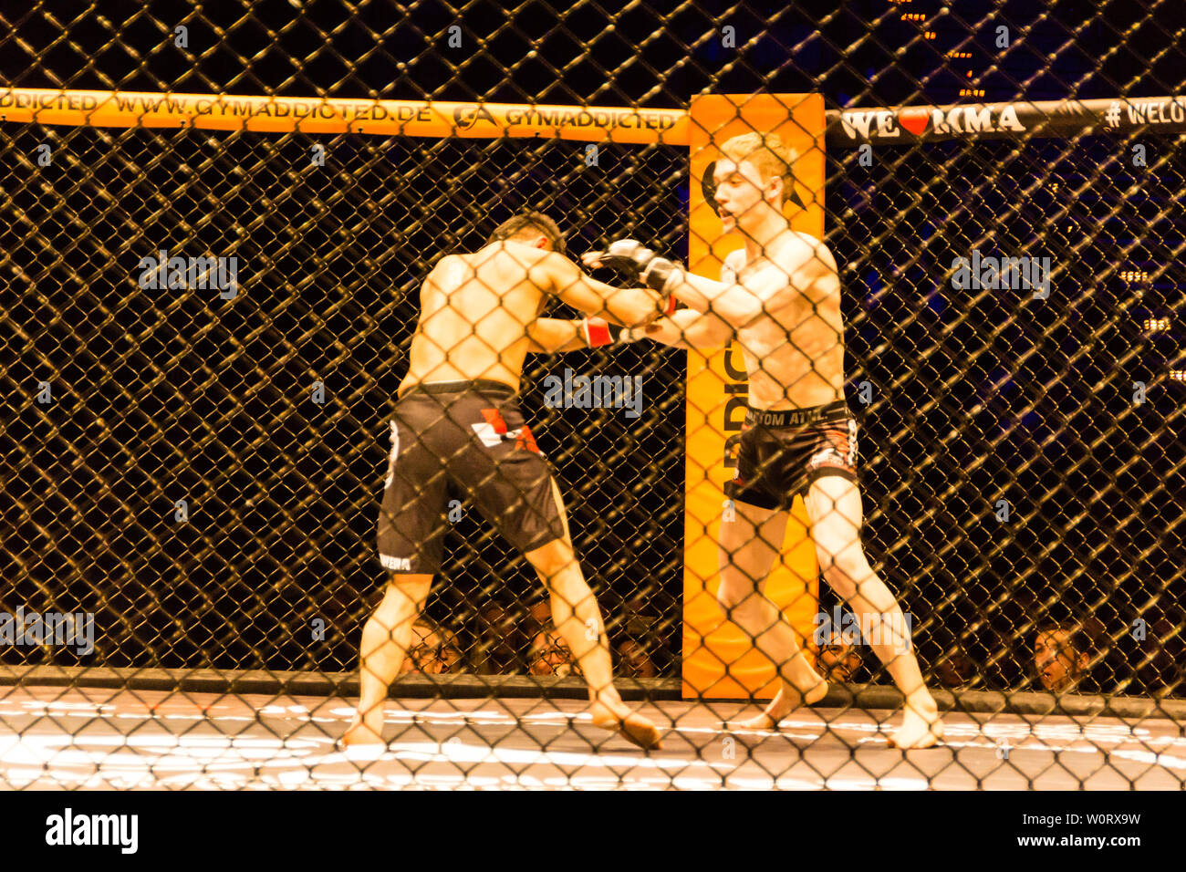 Hamburg, Germany - Nov 18th, 2017: The fight between Alexander Luster ...