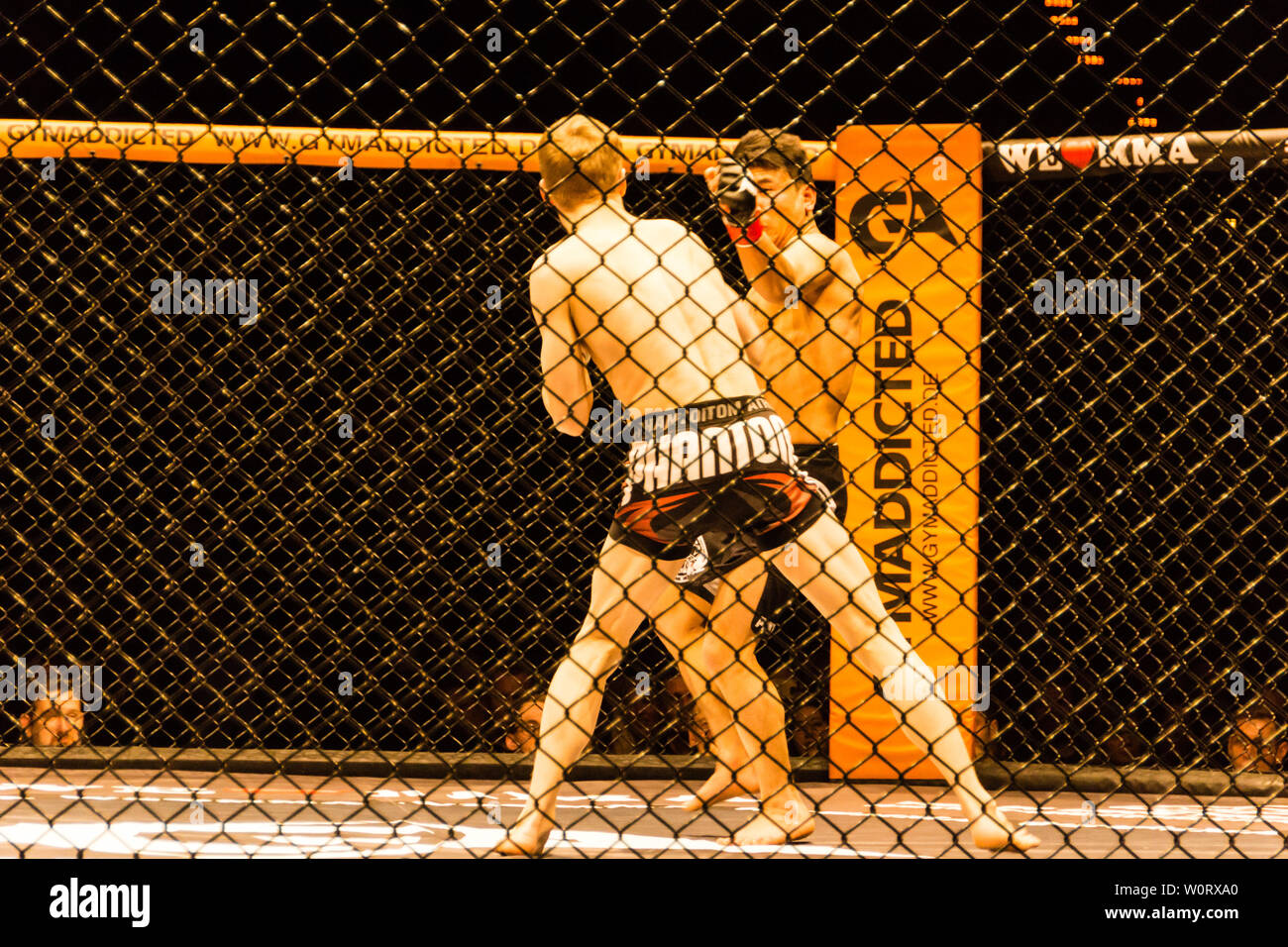 Hamburg, Germany - Nov 18th, 2017: The fight between Alexander Luster ...