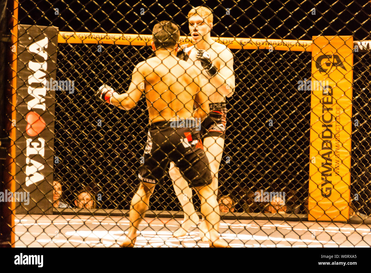 Hamburg, Germany - Nov 18th, 2017: The fight between Alexander Luster ...