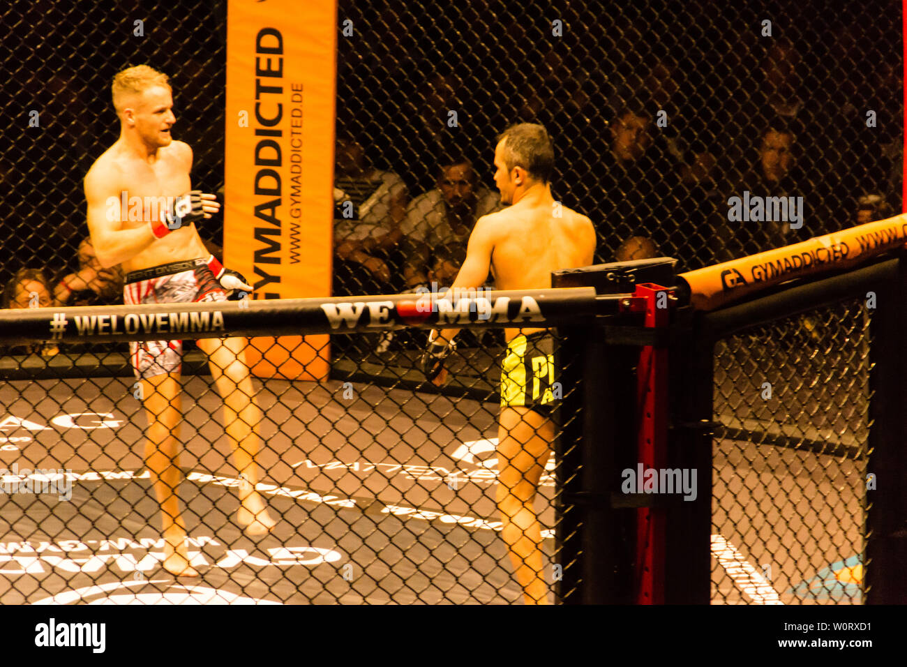 Hamburg, Germany - Nov 18th, 2017: The fight between Alex Wiens and ...
