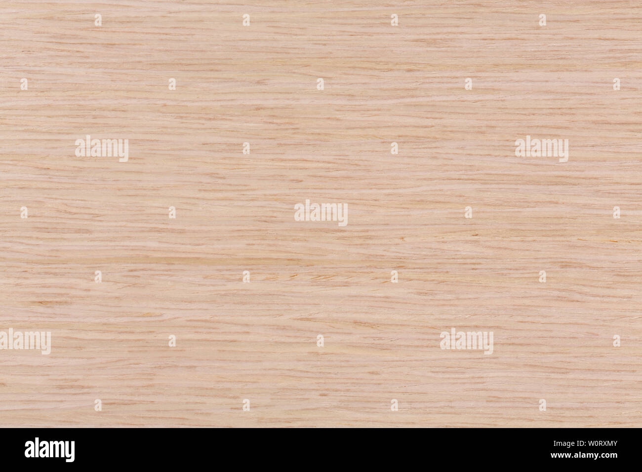 Texture of Oak. Background of expensive species of wood. Extremely high ...