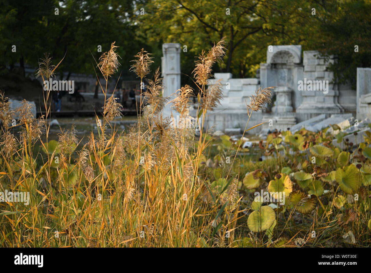 Autumn view of the Summer Palace in Beijing Stock Photo - Alamy