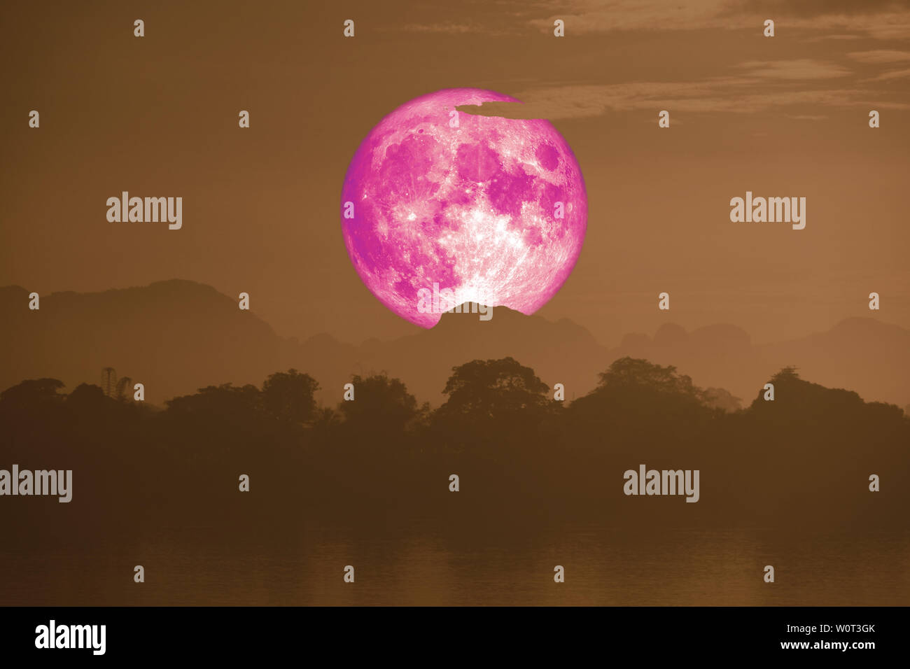 super pink fish moon back on cloud and mountain on night sky, Elements ...