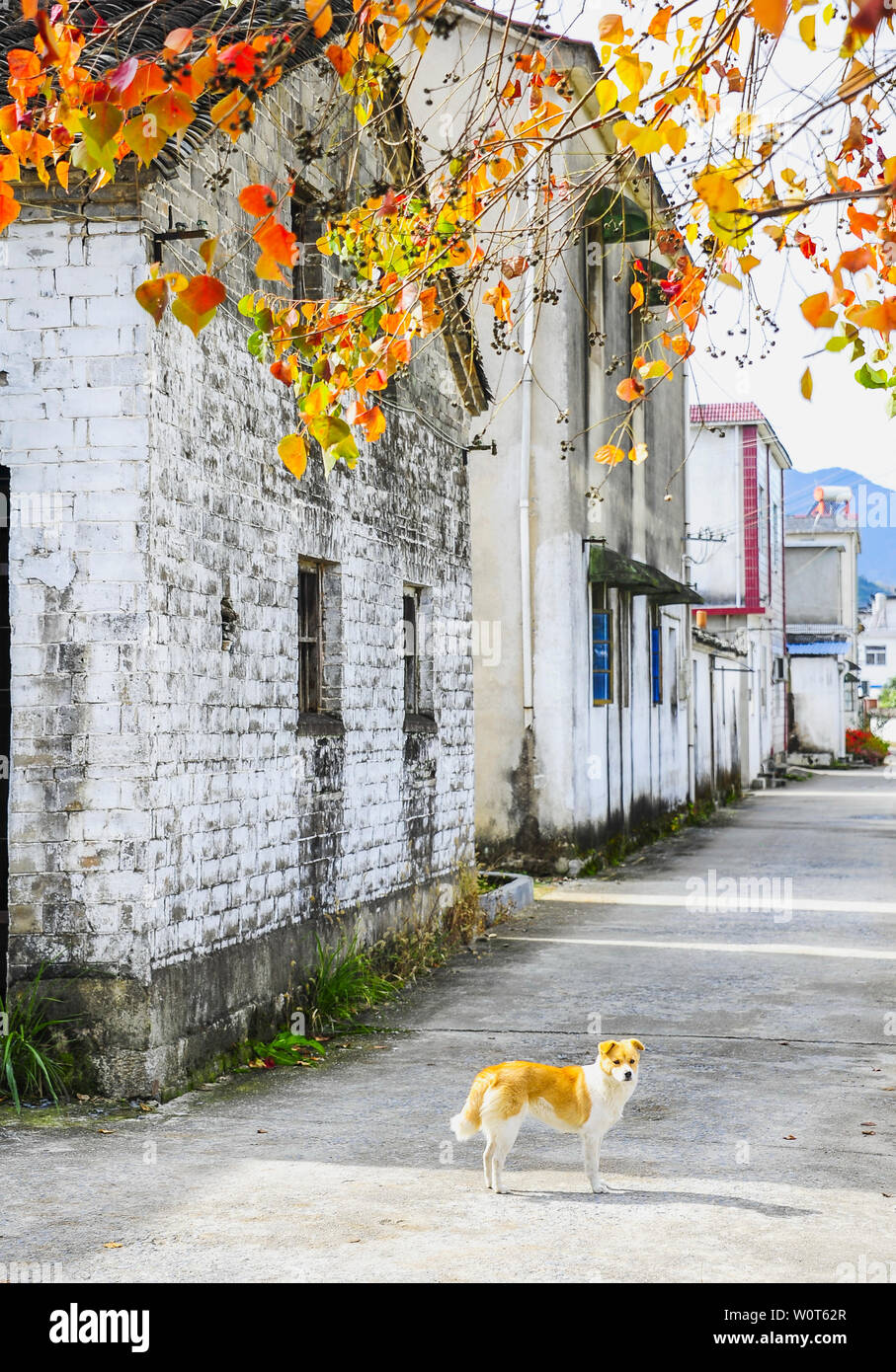 Qiuyi Xiaoshan Village Stock Photo - Alamy
